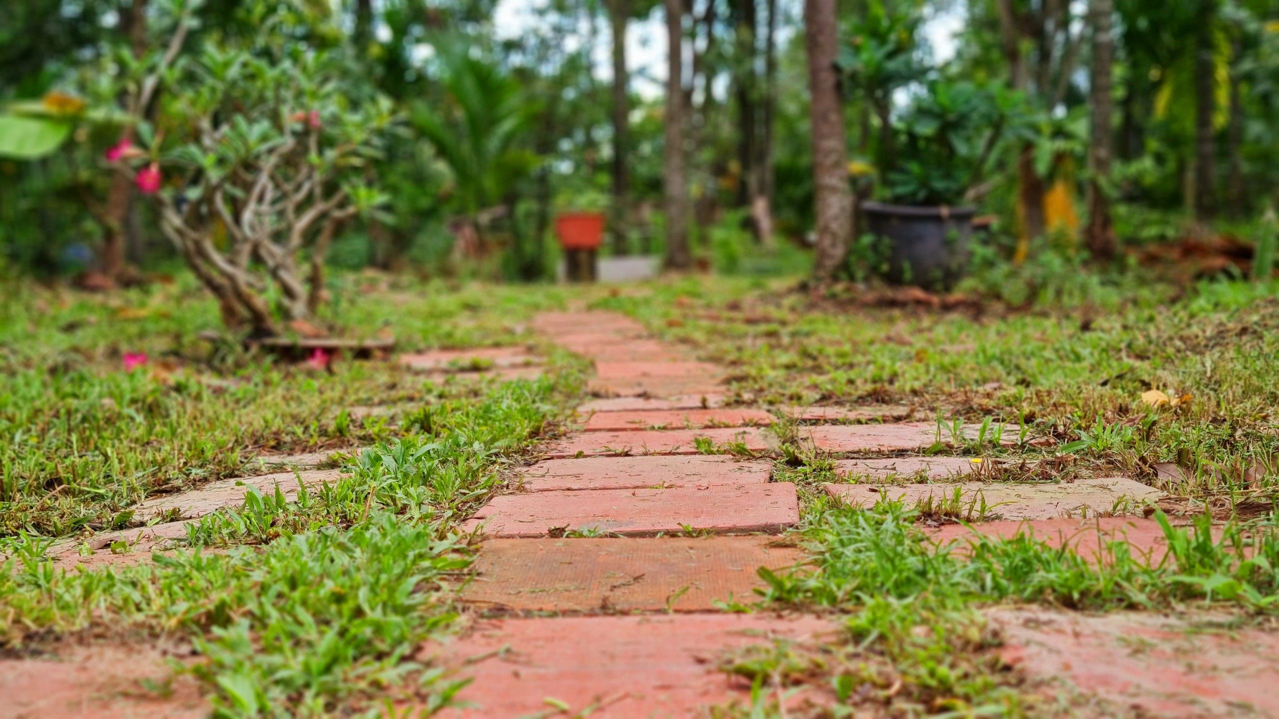 ÂM THANH LỚN “TÂM” ĐƯỢC NGHE KHẮP NƠI - ĐƯỜNG BAY KIM XÍ ĐIỂU ...