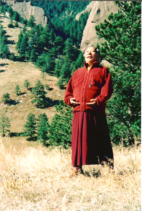 TÂM TỊNH QUANG và PHẬT TÁNH - Khenpo Tsultrim Gyamtso Rinpoche - Ban ...