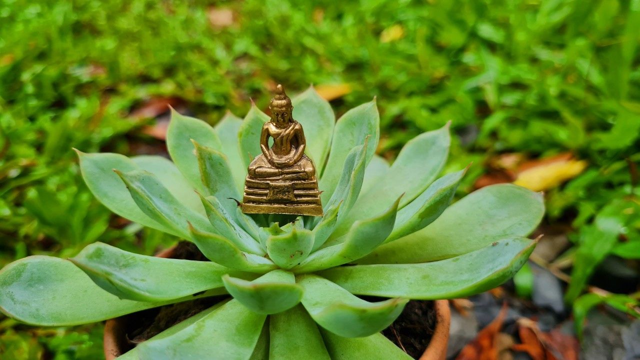 TÂM YẾU THIÊNG LIÊNG CỦA NHỮNG GIÁO HUẤN CỐT LÕI - ĐẠI TOÀN THIỆN TỰ ...